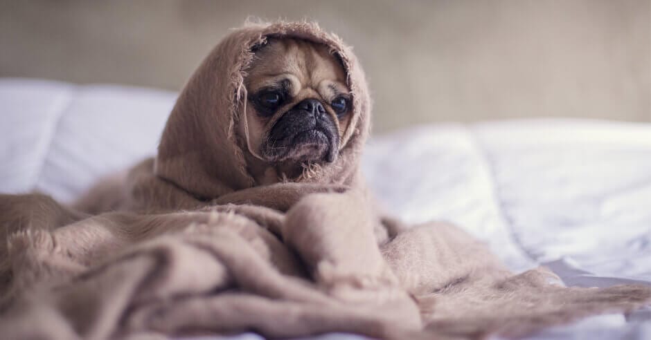 6 Funny Short Films That’ll Lighten Your Mood! - Indie Shorts Mag